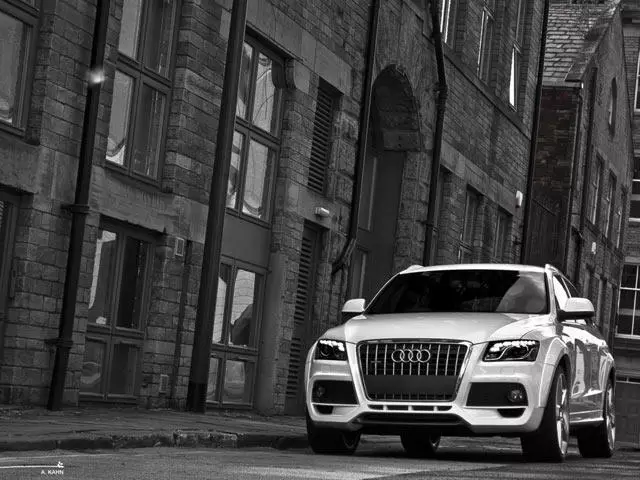 Лоиҳаи Кан медиҳад 2011 Audi Q5 S-Line як оҳанг 102455_1