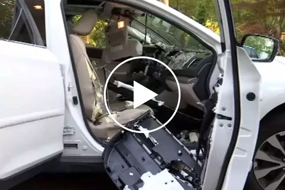 Das passiert, wenn ein Bär in einem Subaru stecken bleibt