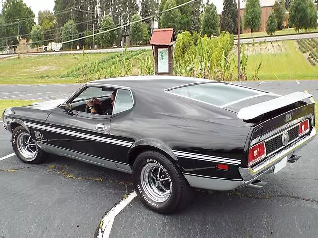 ພໍ່ທີ່ຮັກແພງຂອງ Mustang ໄດ້ຊື້ຂາຍ Pony ທີ່ແທ້ຈິງສໍາລັບ Mustang ປີ 1965 2090_2