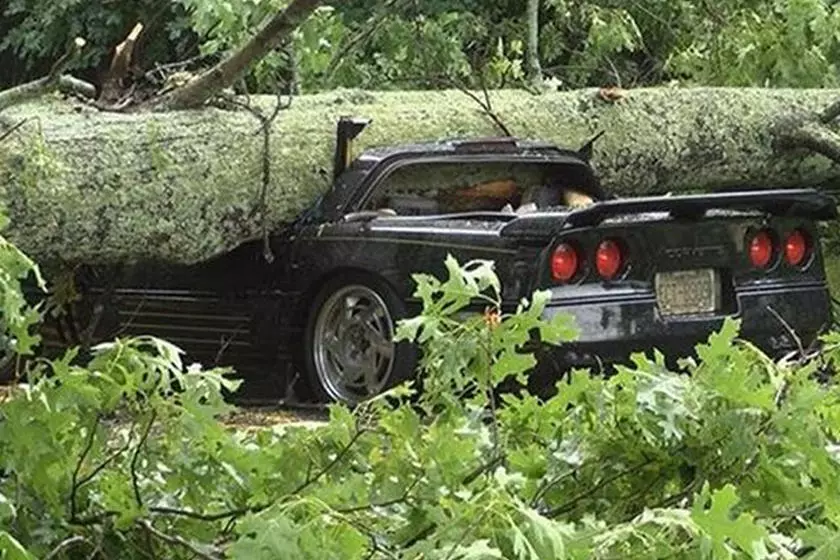 D'Corvette gëtt vum Fallende Bam zerquetscht, de Chauffer iwwerlieft iergendwéi