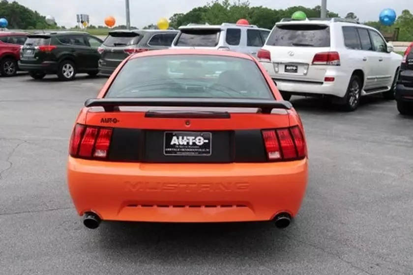 Týdenní poklad: 2004 Ford Mustang Mach 1 45862_6