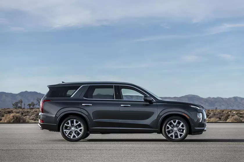 2020 Hyundai Palisade Vedere laterală dreaptă