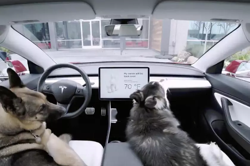 Tesla Fans Juice: Dog Mode har anlänt 66092_1