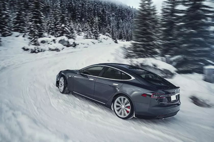 Els fans de Tesla s'alegren: el mode gos ha arribat 66092_7