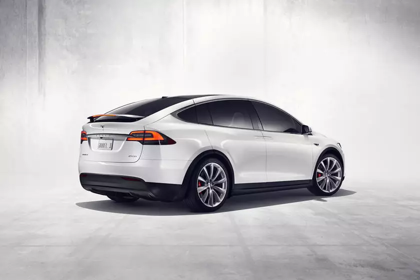 Els fans de Tesla s'alegren: el mode gos ha arribat 66092_9