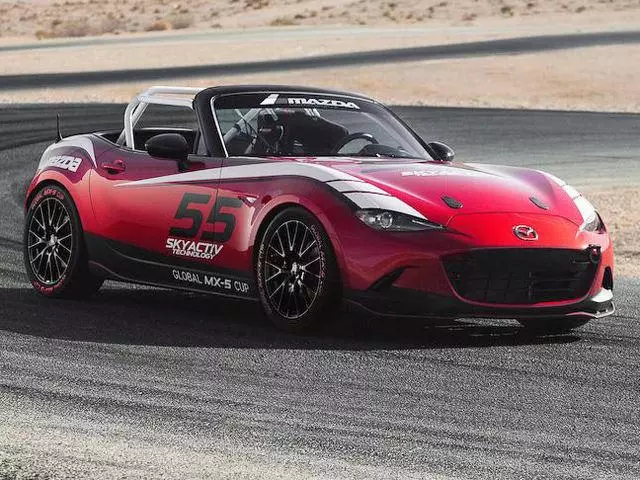 Mazda představuje sedm vyladěných modelů vytvořených pro rok 2015 v Tokyo Auto Salon 73864_6