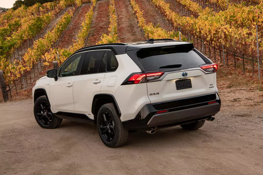 2019 Toyota RAV4 Hybrid Rear Angle View